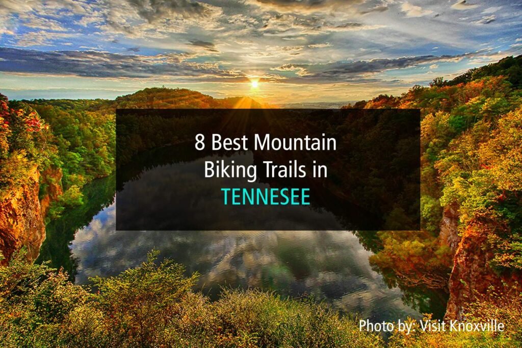 The 8 Best Mountain Biking Trails in Tennessee – Intermountain Bikes