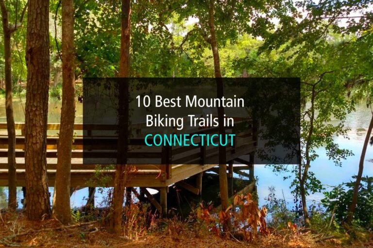 10 Best Mountain Biking Trails in Connecticut – Intermountain Bikes