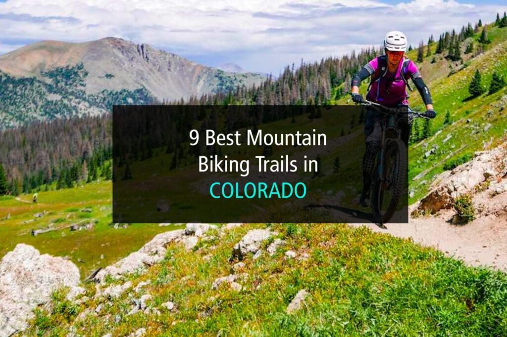 9 Best Mountain Biking Trails in Colorado – Intermountain Bikes